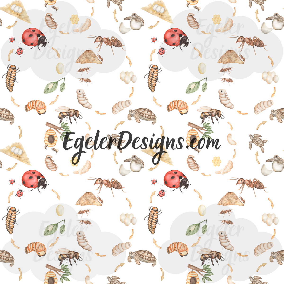 Life Cycle 1.0 – Egeler Designs